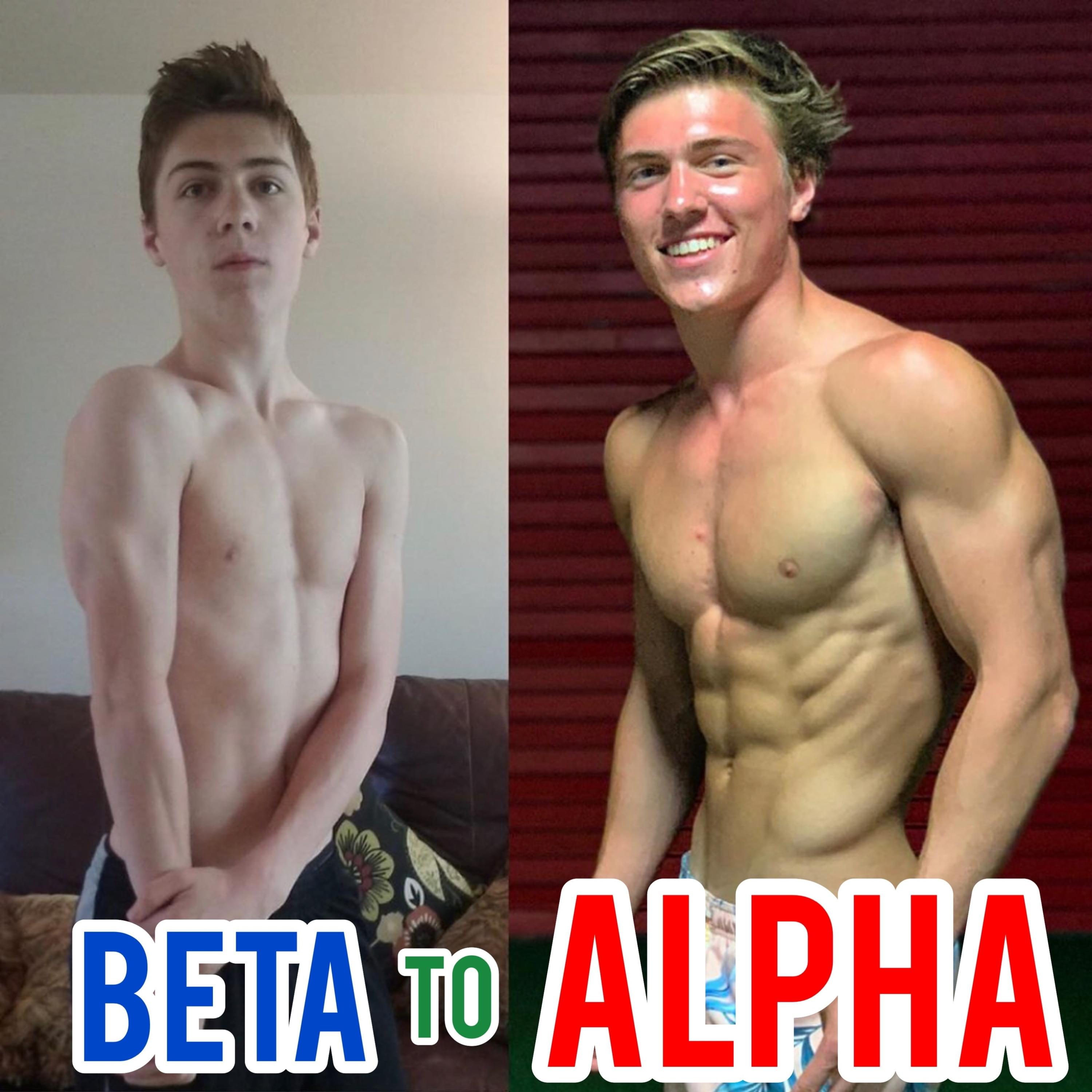 The Beta To Alpha: Physique Formula